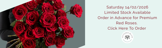 Florist Darlinghurst | Flower Delivery Eastern Suburbs | Victoria Blum ...