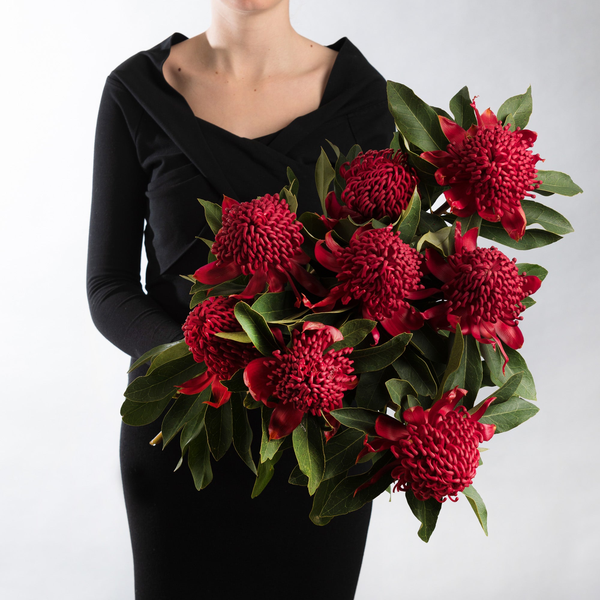 Victoria Blum Florist Sydney | Waratah